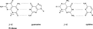Synthesis of Janus type nucleoside analogues and their preliminary ...