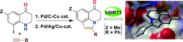 Transition metal mediated construction of pyrrole ring on 2,3 ...