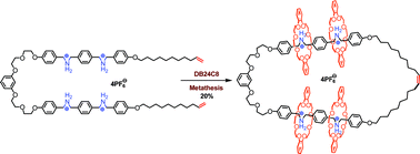 Template-directed synthesis of kinetically and thermodynamically stable ...