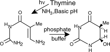 Photoinduced ring opening reactions and subsequent thermal ring closure ...