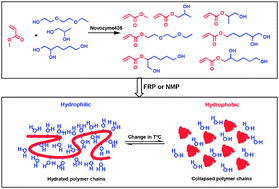 Thermoresponsive polyacrylates obtained via a cascade of enzymatic ...