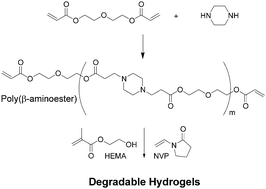 Swelling and degradation of hydrogels synthesized with degradable poly ...
