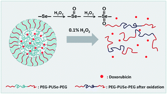 Selenium-containing block copolymers and their oxidation-responsive ...