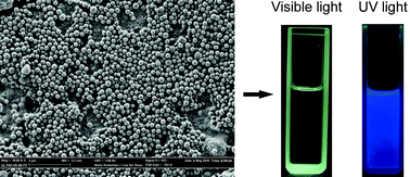 Preparation of shell cross-linked nanoparticles via miniemulsion RAFT ...