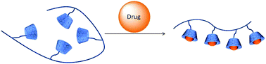 Cyclodextrin functionalized polymers as drug delivery systems - Polymer ...