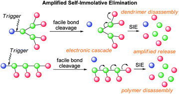 Self-immolative linkers in polymeric delivery systems - Polymer ...