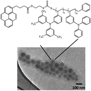 Exploring RAFT polymerization for the synthesis of bipolar diblock ...