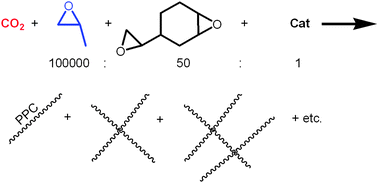 Connection of polymer chains using diepoxide in CO2/propylene oxide ...