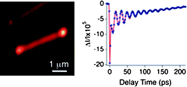 Ultrafast studies of single semiconductor and metal nanostructures ...