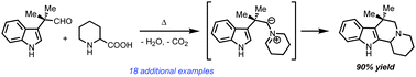 Azomethine ylide annulations: facile access to polycyclic ring systems ...