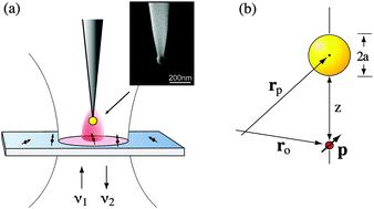 Nanoscale spectroscopy with optical antennas - Chemical Science (RSC ...