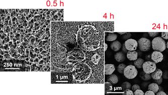 Mechanistic study of the phase separation/crystallization process of ...