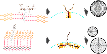 Control of mesogen configuration in colloids of liquid crystalline ...