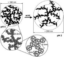 Internal structure and colloidal behaviour of covalent whey protein ...