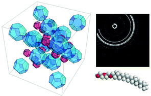 Monodisperse nonionic phytanyl ethylene oxide surfactants: high ...