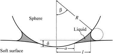 Capillary forces between soft, elastic spheres - Soft Matter (RSC ...