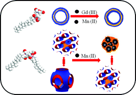 Chelating phytanyl-EDTA amphiphiles: self-assembly and promise as ...