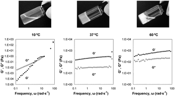 New biocompatible thermogelling copolymers containing ethylene-butylene ...