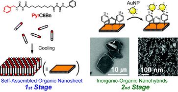 Organic nanosheets with charged surface: two dimensional self-assembly ...