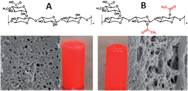 Xylan Chemical Structure