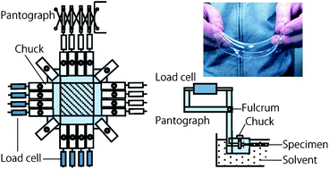 Biaxial strain testing of extremely soft polymer gels - Soft Matter ...