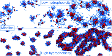 Micelle formation, gelation and phase separation of amphiphilic ...