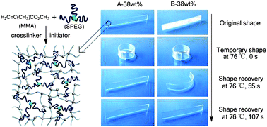 A new approach to shape memory polymer: design and preparation of poly ...