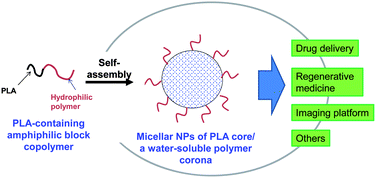 Polylactide (PLA)-based amphiphilic block copolymers: synthesis, self-assembly, and biomedical ...