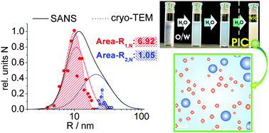 Formation and structure of slightly anionically charged nanoemulsions ...