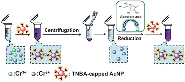Role of 5-thio-(2-nitrobenzoic acid)-capped gold nanoparticles in the ...