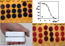 Multi-ion detection by one-shot optical sensors using a colour digital ...