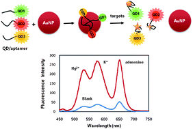 Gold nanoparticle-based homogeneous fluorescent aptasensor for ...