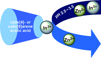 Multiple proton ionizable calixarene derivatives with different ring ...