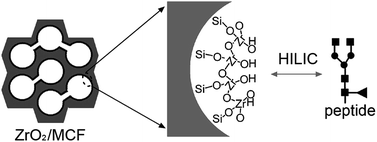 Zirconia layer coated mesoporous silica microspheres as HILIC SPE ...