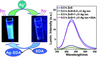 Magic sized ZnS quantum dots as a highly sensitive and selective ...