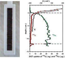 Segmented sediment probe for diffusive gradient in thin films technique ...