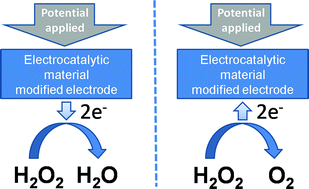 Recent advances in electrochemical sensing for hydrogen peroxide: a ...