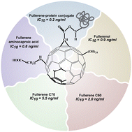 Production of monoclonal antibodies against fullerene C60 and ...