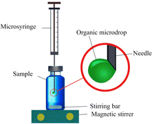 Immersed single-drop microextraction combined with gas chromatography ...