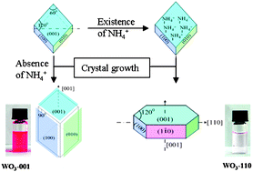 Hexagonal single crystal growth of WO3 nanorods along a [110] axis with ...