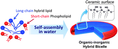 Synthesis of organic–inorganic hybrid bicelles–lipid bilayer nanodiscs ...
