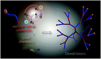Nitrone-mediated radical coupling reactions: a new synthetic tool ...