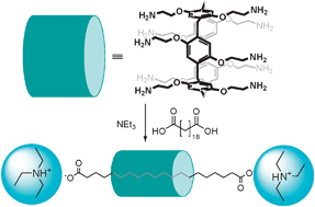 Pillar[5]arene decaamine: synthesis, encapsulation of very long linear ...