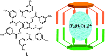 Encapsulation of [F4(H2O)10]4− in a dimeric assembly of an ...