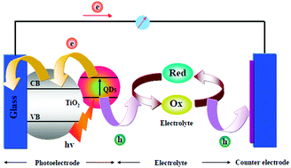 Quantum dot-sensitized solar cells incorporating nanomaterials ...