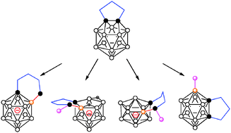 Selective cage boron/carbon extrusion reaction of 13-vertex carborane μ ...