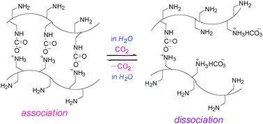 Reversible chain association/dissociation via a CO2 responsive ...