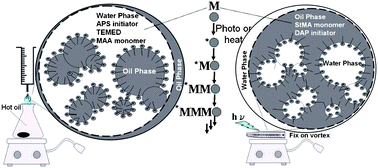 Diverse macroporous spheres synthesized by multiple emulsion ...