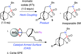 Synthesis of epoxybenzo[d]isothiazole 1,1-dioxides via a reductive-Heck ...