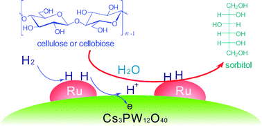 Cellobiose Cellulose